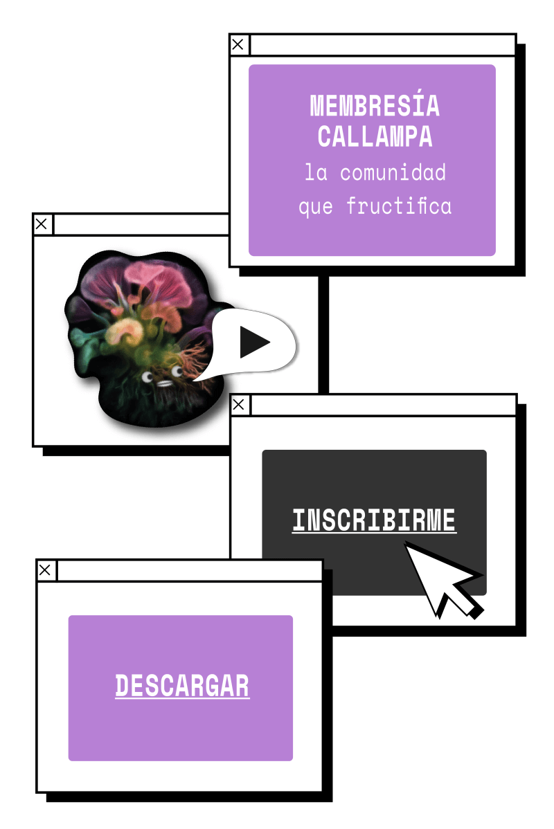 Inicio - Club del Hongo